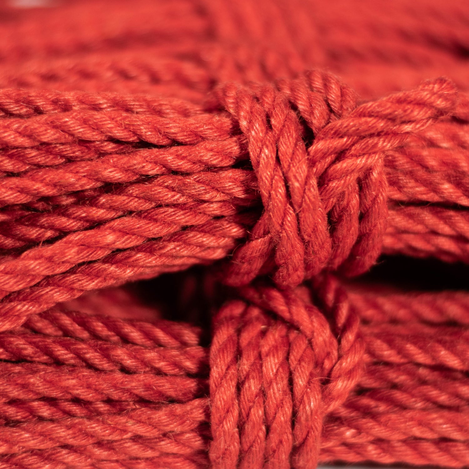 Anatomie guide to treating your ropes in 6 easy steps – Anatomie Shop